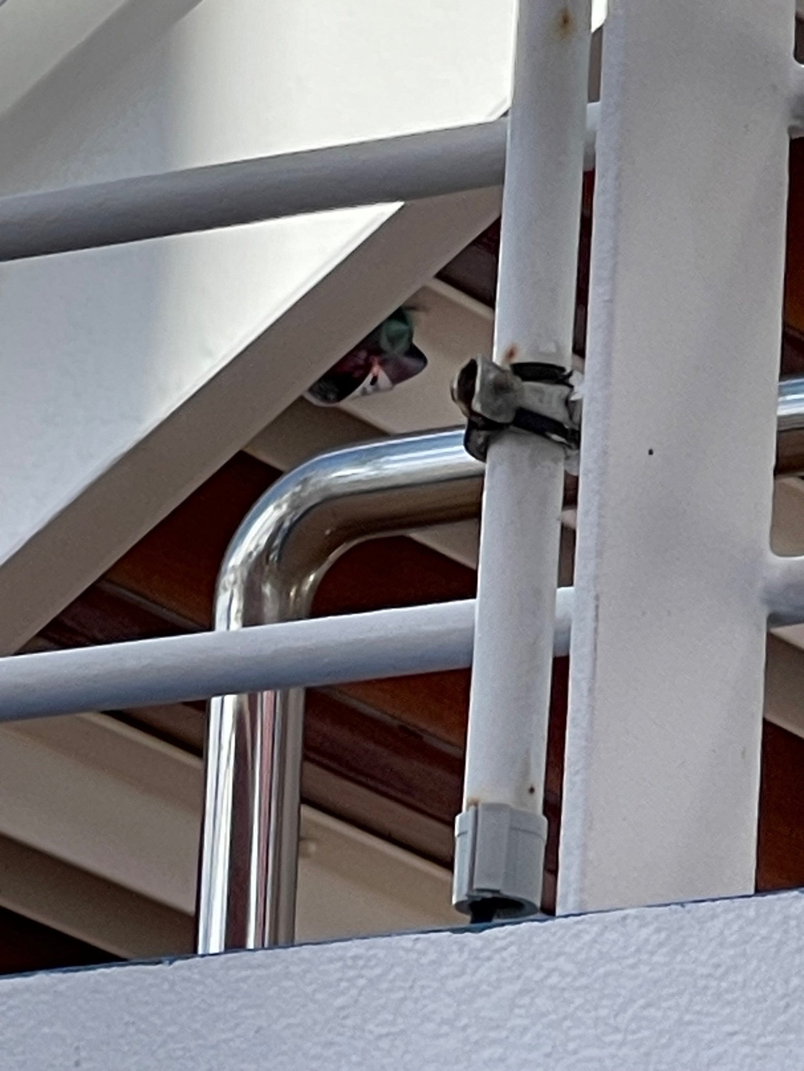 Cruise Ducks- Side Eye Ducks Multi Colored 3D Printed Can Be ...