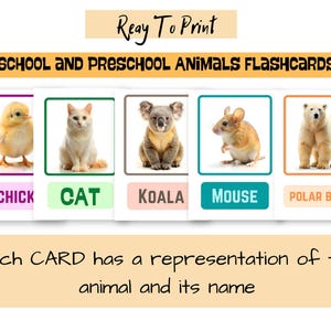 20 Farm Animals Flash Cards, School and Pre-school Cards, Educational ...