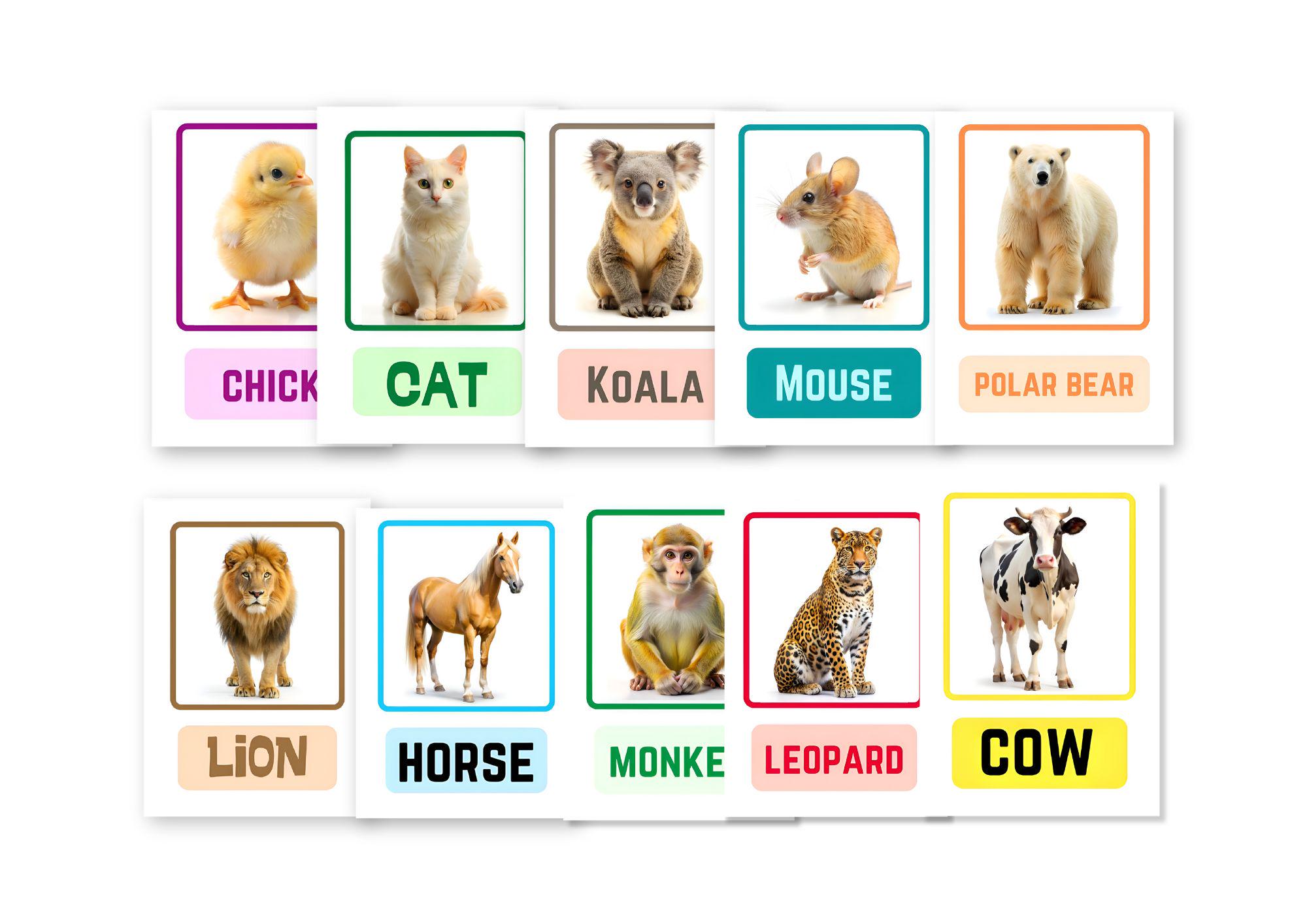 20 Farm Animals Flash Cards, School and Pre-school Cards, Educational ...