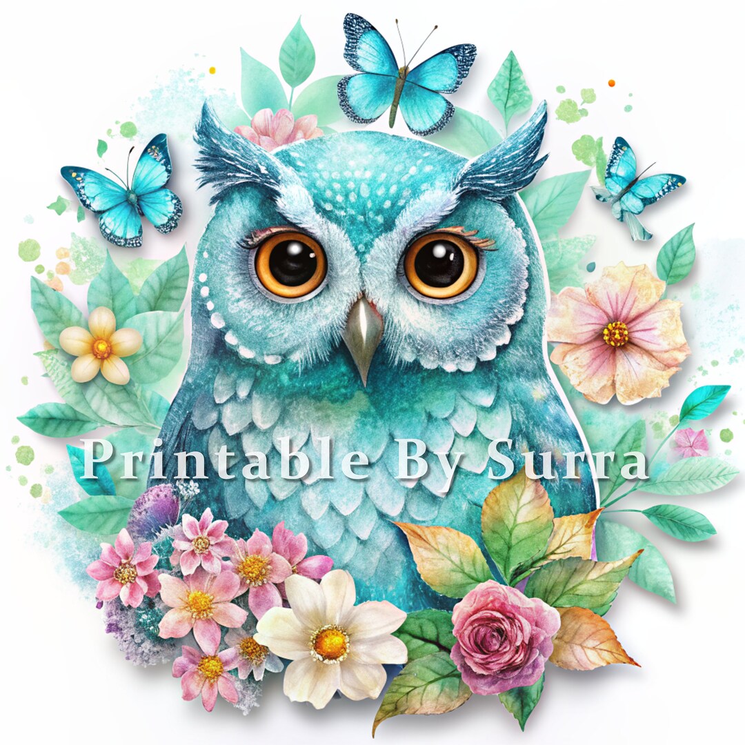 Colorful Cute Owl Clipart, Bundle Vibrant Colors, Owl Clipart JPG, Owl ...