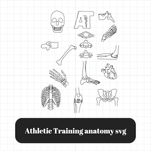 Athletic Trainer Anatomy SVG, Sports Medicine, Athletic Training, Back ...