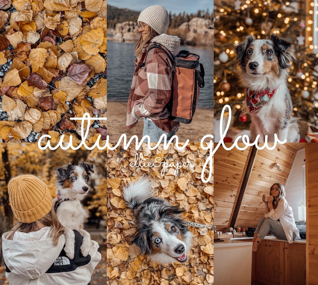 Autumn Glow Lightroom Mobile Preset - Ellie&paper - Etsy