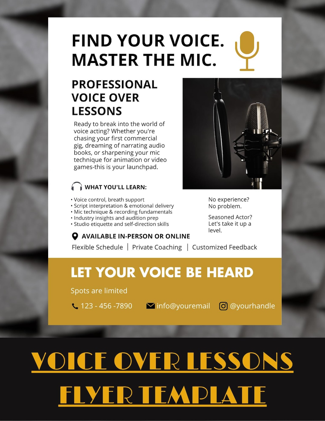 Voice Over Lessons Flyer Template: Editable Canva Coaching Promo ...