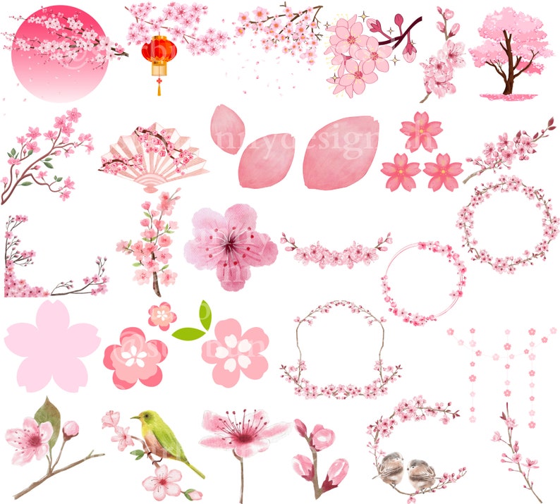 60 Sakura Clip Art Graphics Bundle, Cherry Blossom Clipart, High ...