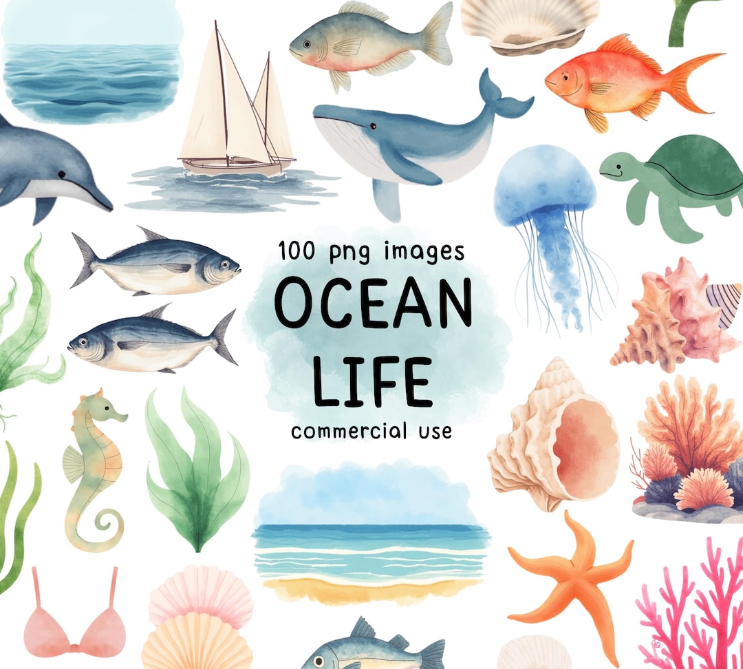 100 Ocean Life Clip Art, Marine Clip Art for Commercial Use - Etsy