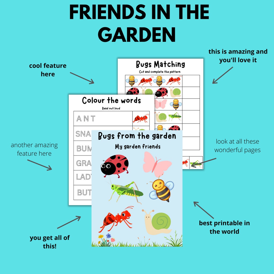 Bugs From the Garden Printables, Insect Activity Book, Colouring ...