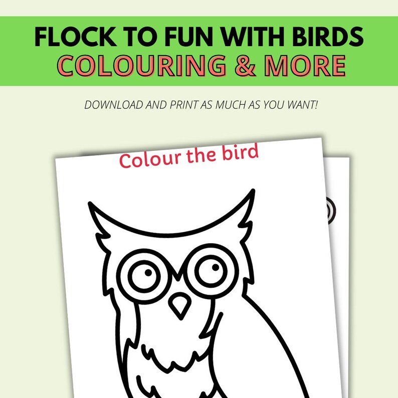 All About Birds Kids Activity Printables, Birds Printables, Bird ...