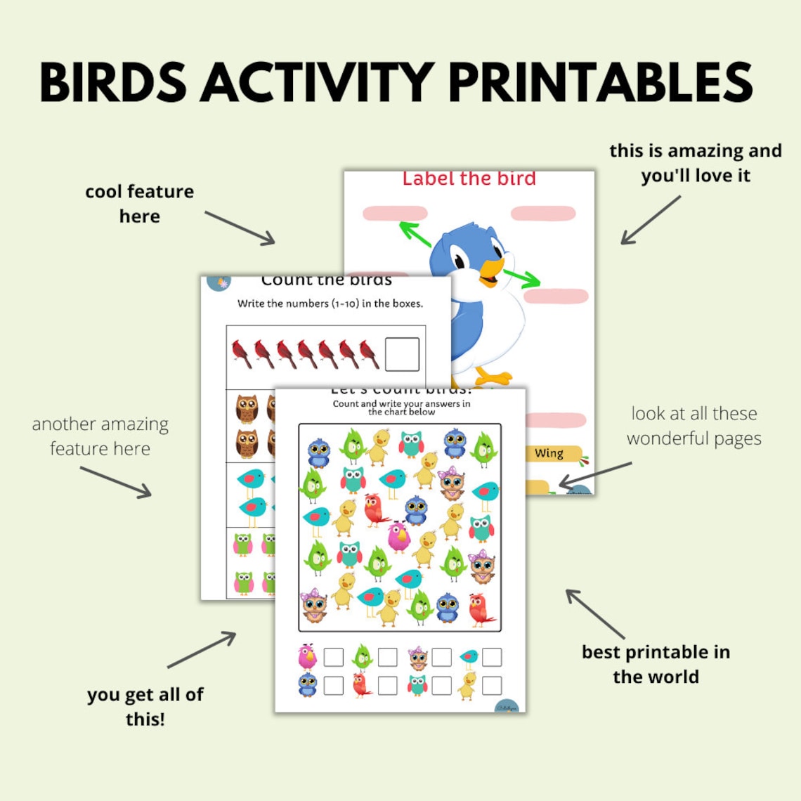 All About Birds Kids Activity Printables, Birds Printables, Bird ...