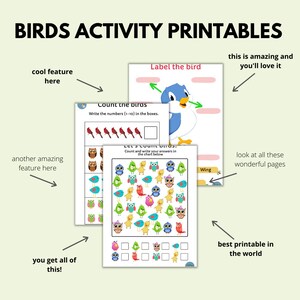 All About Birds Kids Activity Printables, Birds Printables, Bird ...