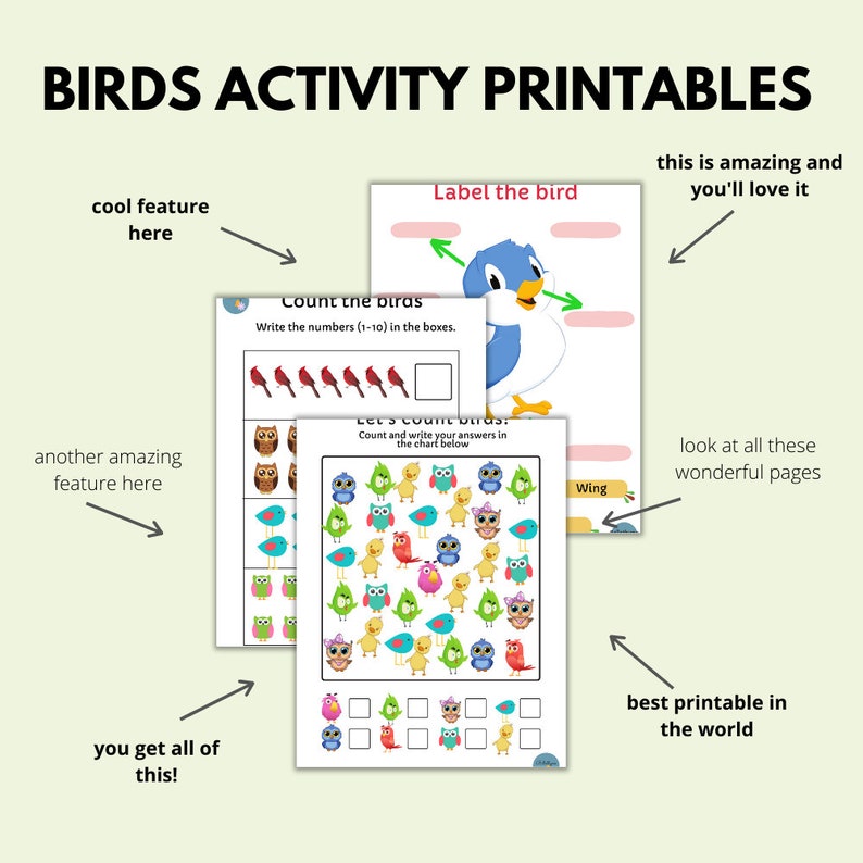 All About Birds Kids Activity Printables, Birds Printables, Bird ...