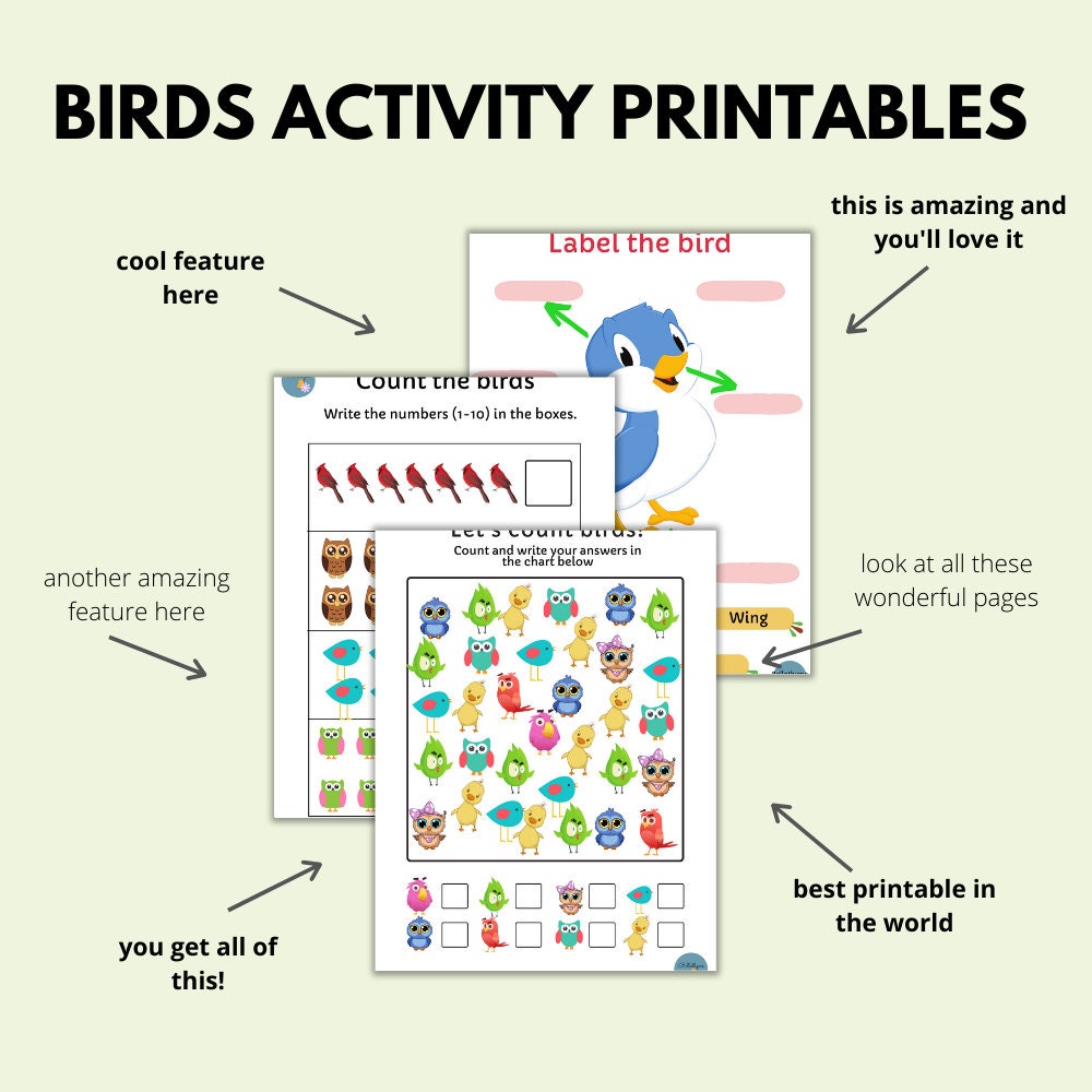 All About Birds Kids Activity Printables, Birds Printables, Bird ...