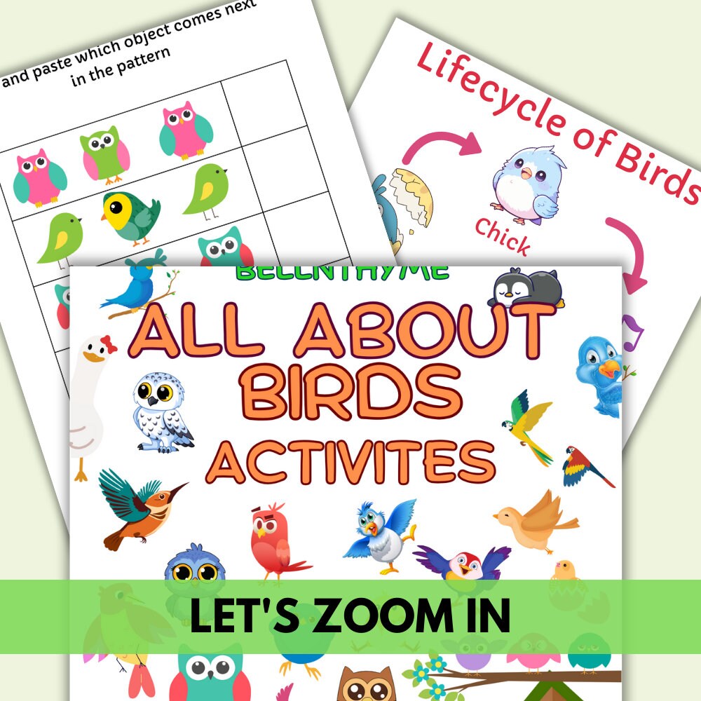 All About Birds Kids Activity Printables, Birds Printables, Bird ...