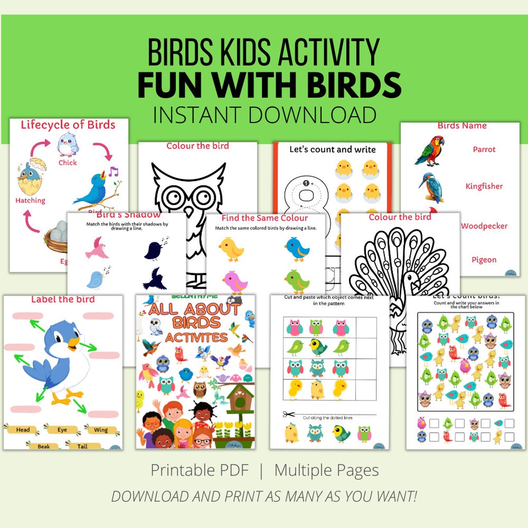 All About Birds Kids Activity Printables, Birds Printables, Bird ...