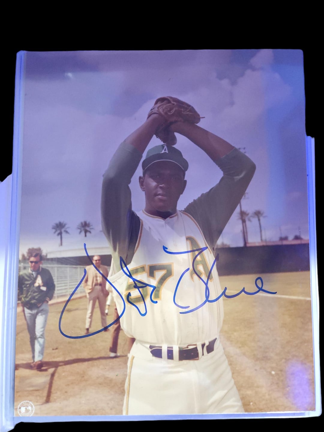 Vida Blue Rare 8x10 With Coa - Etsy