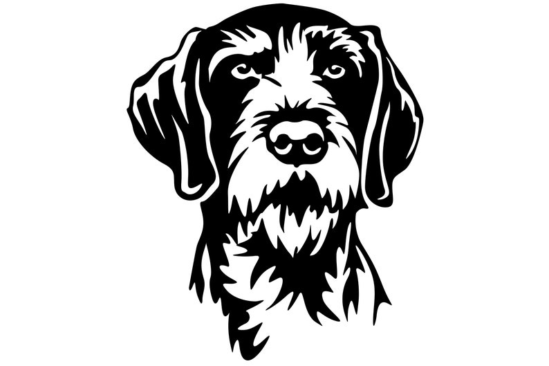 GERMAN DRAHTHAAR Decal Bumper Sticker German Wirehaired Head Sticker ...