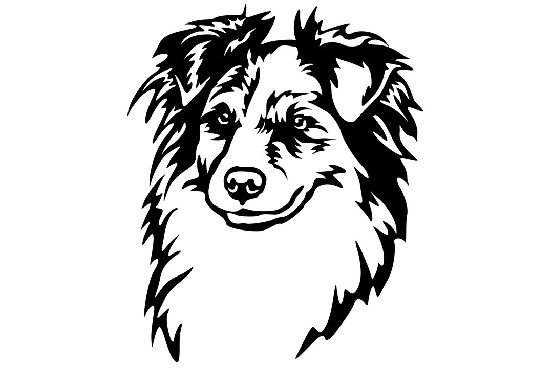 MINIATURE AUSTRALIAN SHEPHERD Mini Aussie - Sticker - Purebred Dog ...