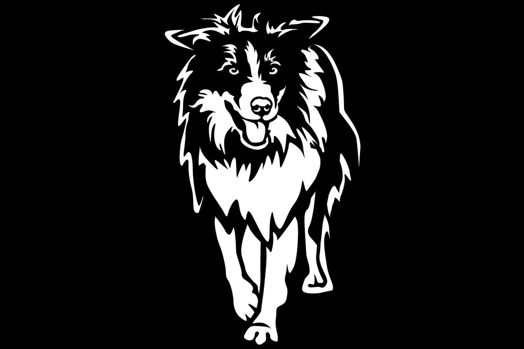 BORDER COLLIE Sticker Purebred Dog Sticker Car Sticker Sticker BE4515 ...