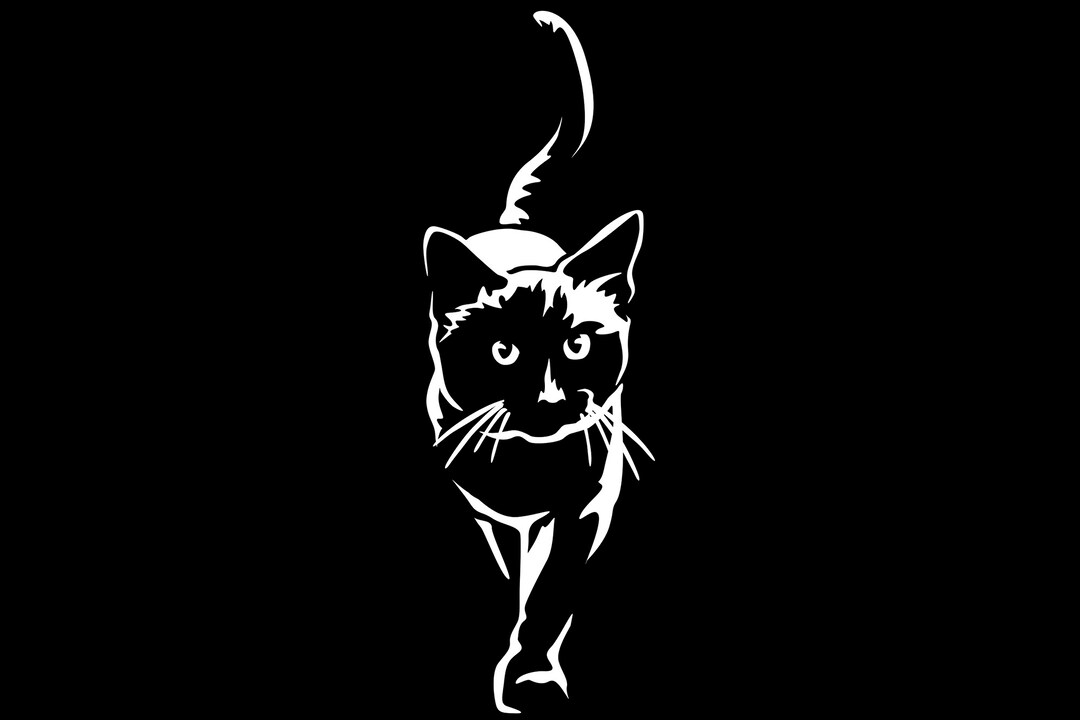 SIAMESE CAT SIAMESE Cat Sticker - Sticker - Car Sticker - Cat Sticker ...