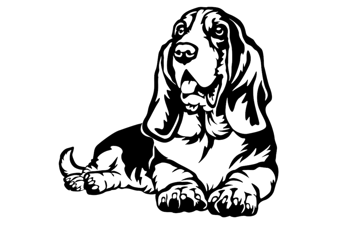 BASSET HOUND - Sticker - Purebred Dog Sticker - Car Sticker - Basset ...