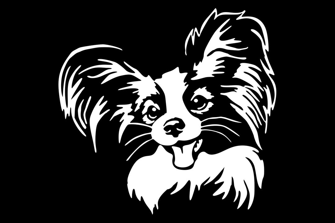 PAPILLON Sticker Car Sticker Sticker Papillon Head BE3310 - Etsy
