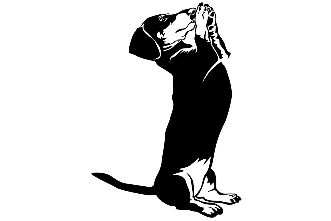 DACKEL Teckel Shorthaired Dachshund Sticker Car Sticker Sticker ...