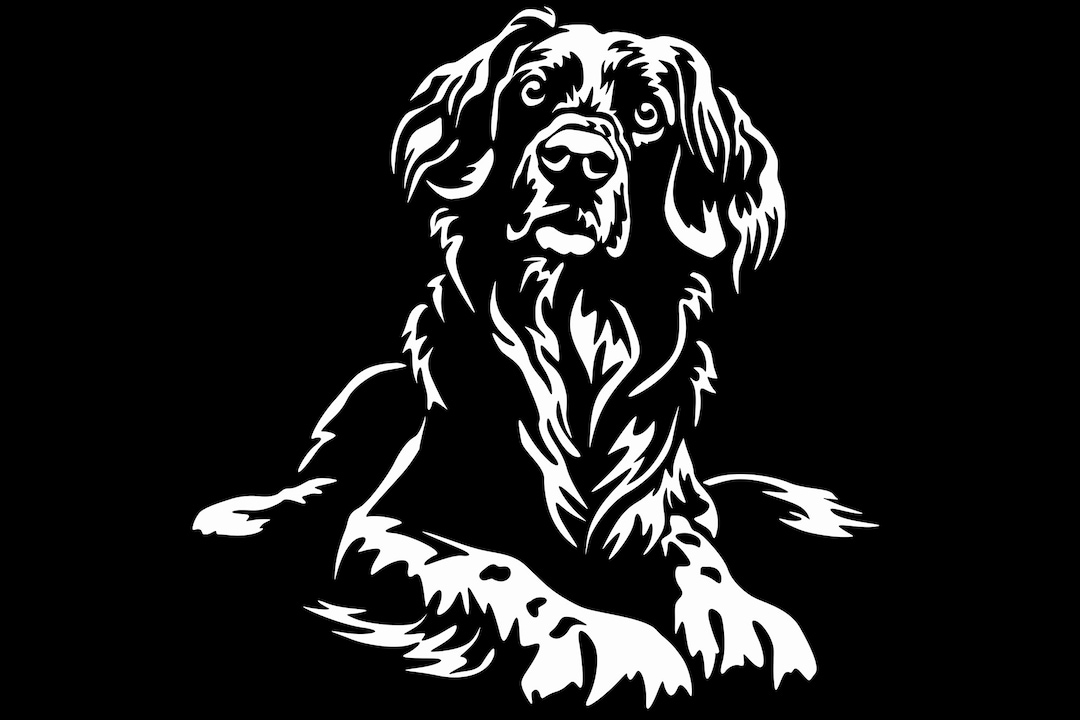 STABYHOUN Sticker Purebred Dog Sticker Car Sticker Sticker Friesian ...