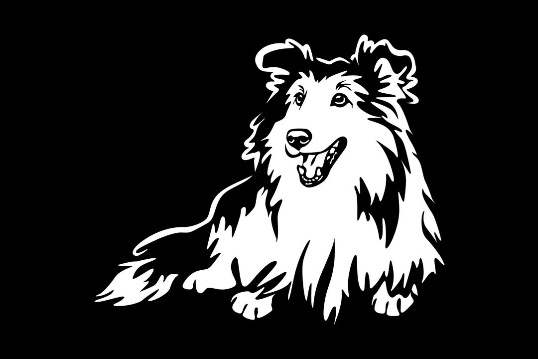 SHELTIE Shetland Sheepdog Sticker - Purebred Dog Sticker - Car Sticker ...