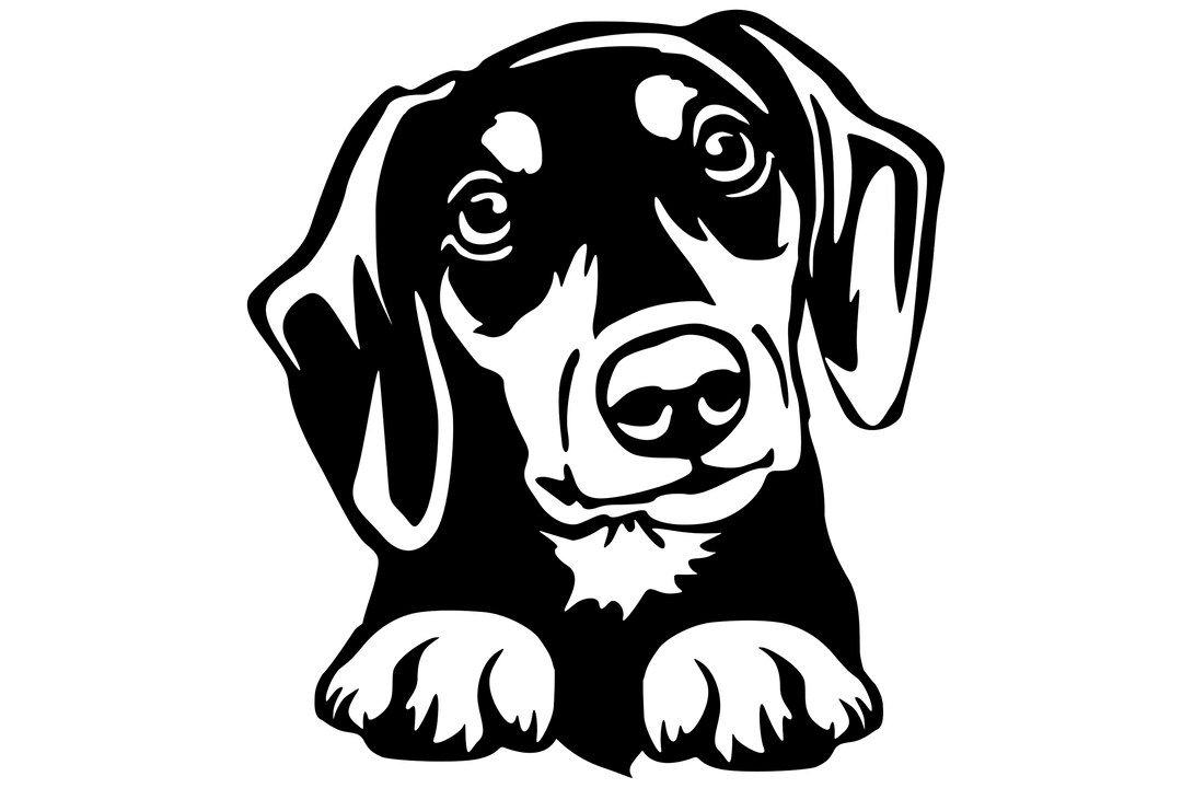 DACKEL Shorthaired Dachshund Teckel Sticker Car Sticker Dachshund Head ...