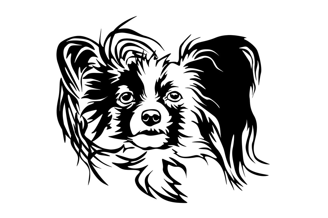 PAPILLON Sticker Purebred Dog Sticker Car Sticker Papillon Head Sticker ...