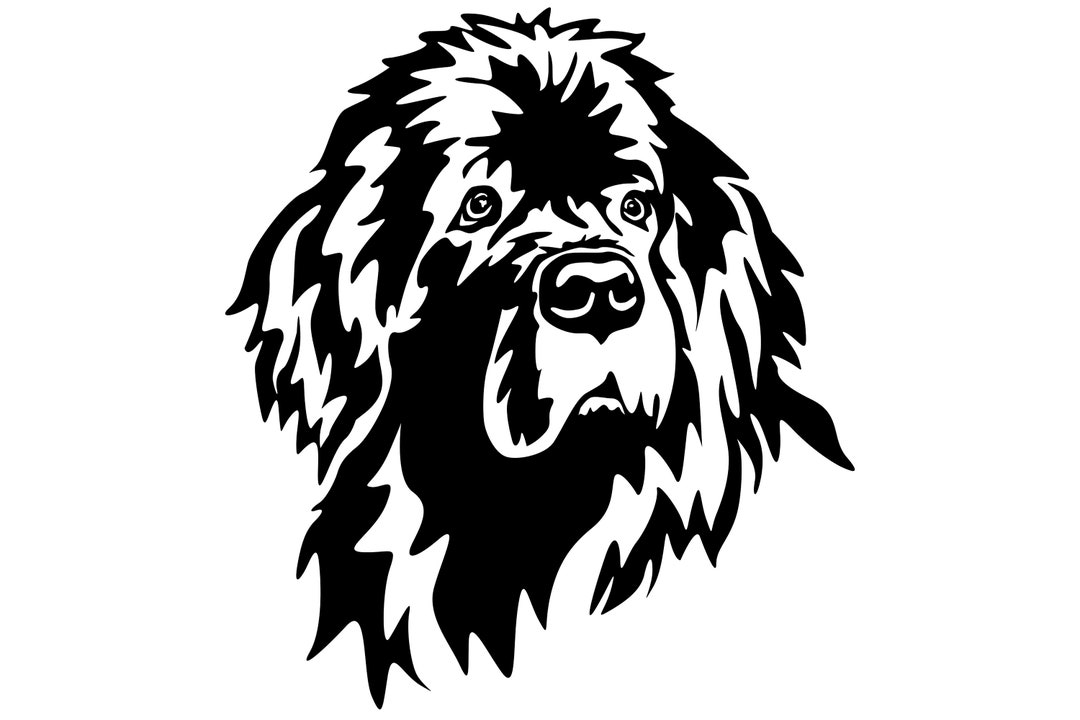 NEWFOUNDLAND Sticker Car Sticker Newfoundland Head Sticker 3368 - Etsy