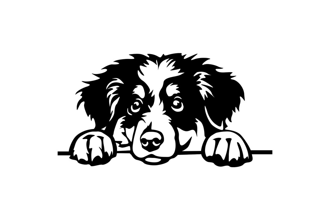 MINIATURE AUSTRALIAN SHEPHERD Aussie - Sticker - Purebred Dog Sticker ...