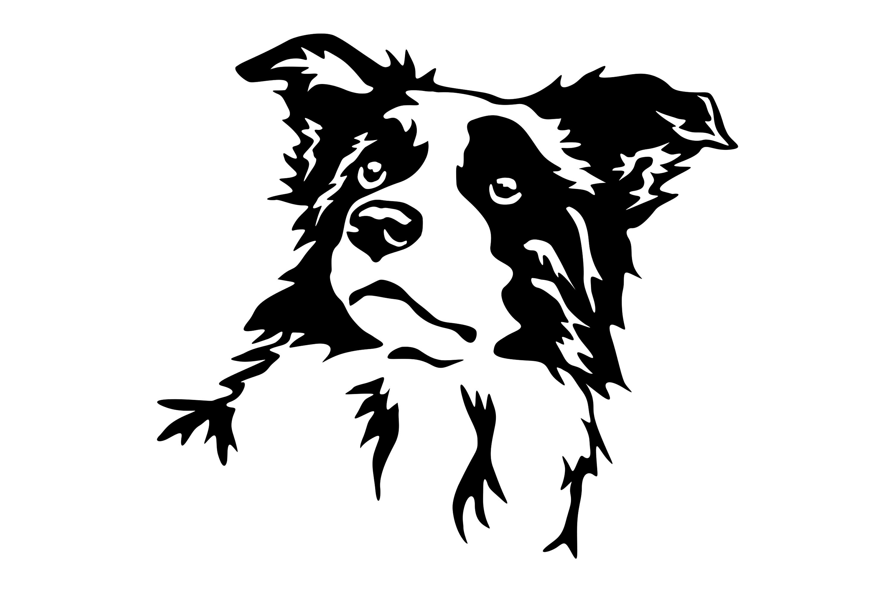 BORDER COLLIE Sticker Bumper Sticker Sticker Border - Etsy