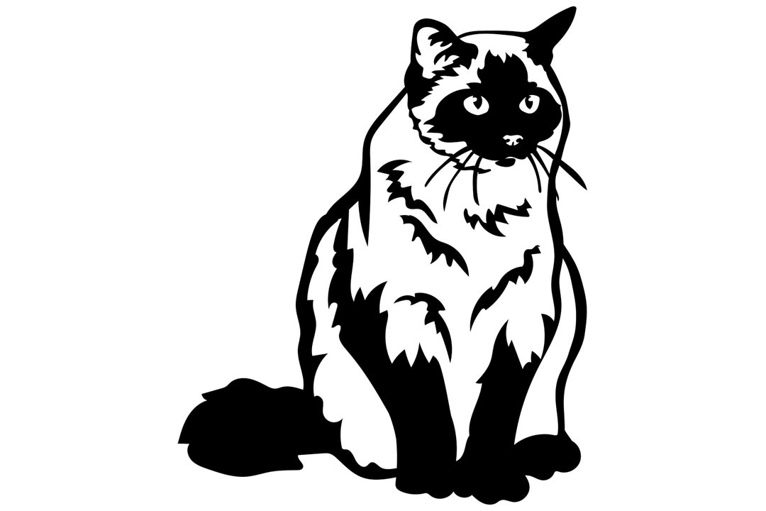 SIAMESE CAT SIAMESE Cat - Sticker - Pedigree Cat Sticker - Car Sticker ...