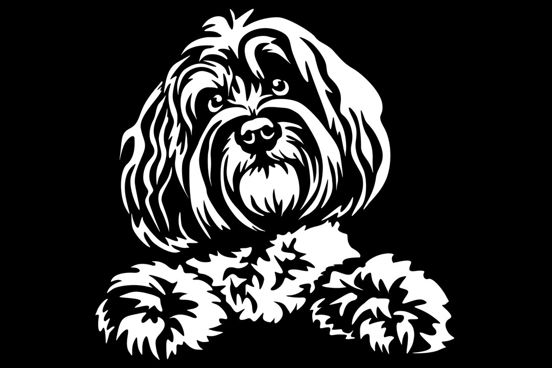 HAVANESE Sticker Purebred Dog Sticker Car Sticker Sticker Havanese Head ...