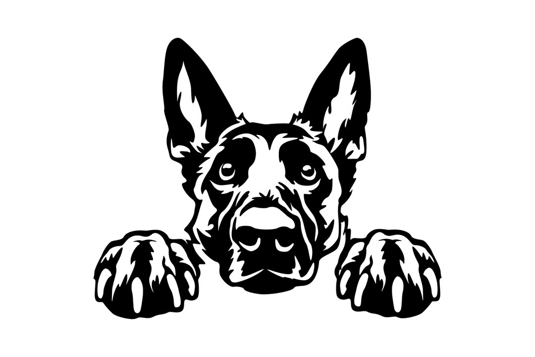 MALINOIS Belgian Shepherd Dog - Sticker - Purebred Dog Sticker - Car ...