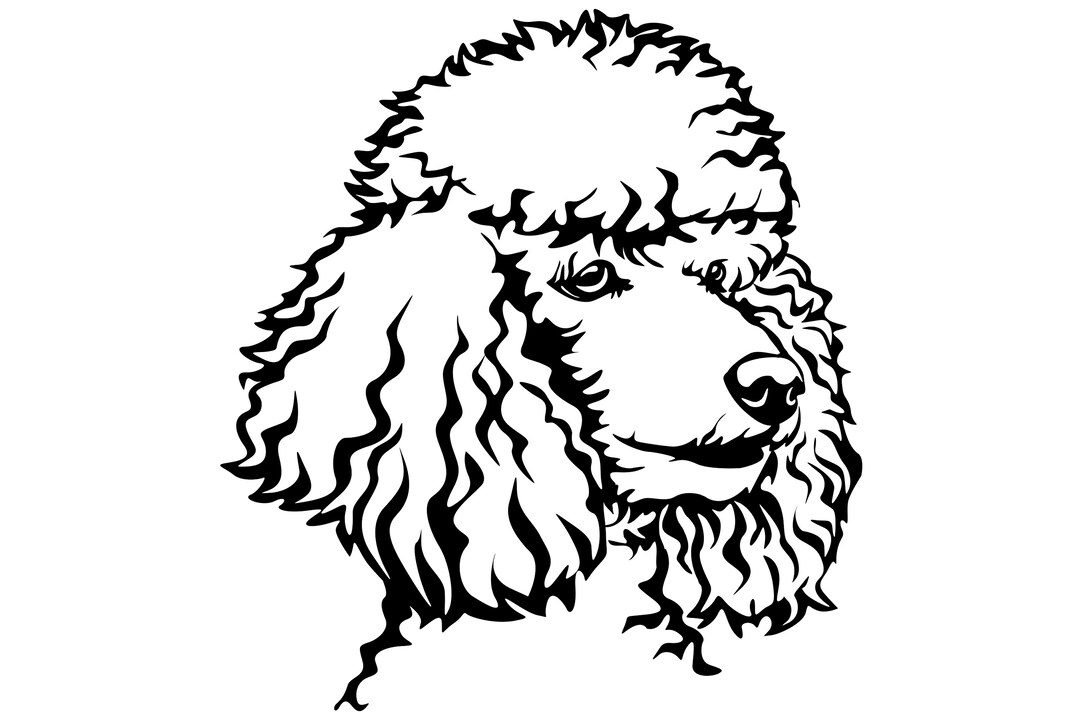 PUDEL Standard Poodle Sticker Car Sticker Sticker Poodle Head 3661 - Etsy