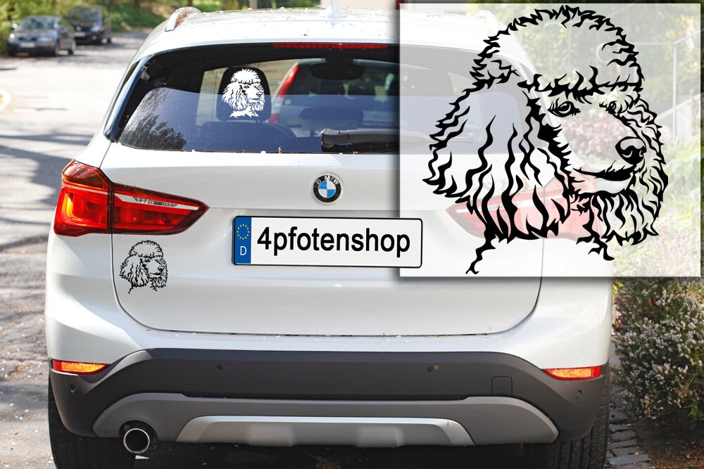 PUDEL Standard Poodle Sticker Car Sticker Sticker Poodle Head 3661 - Etsy