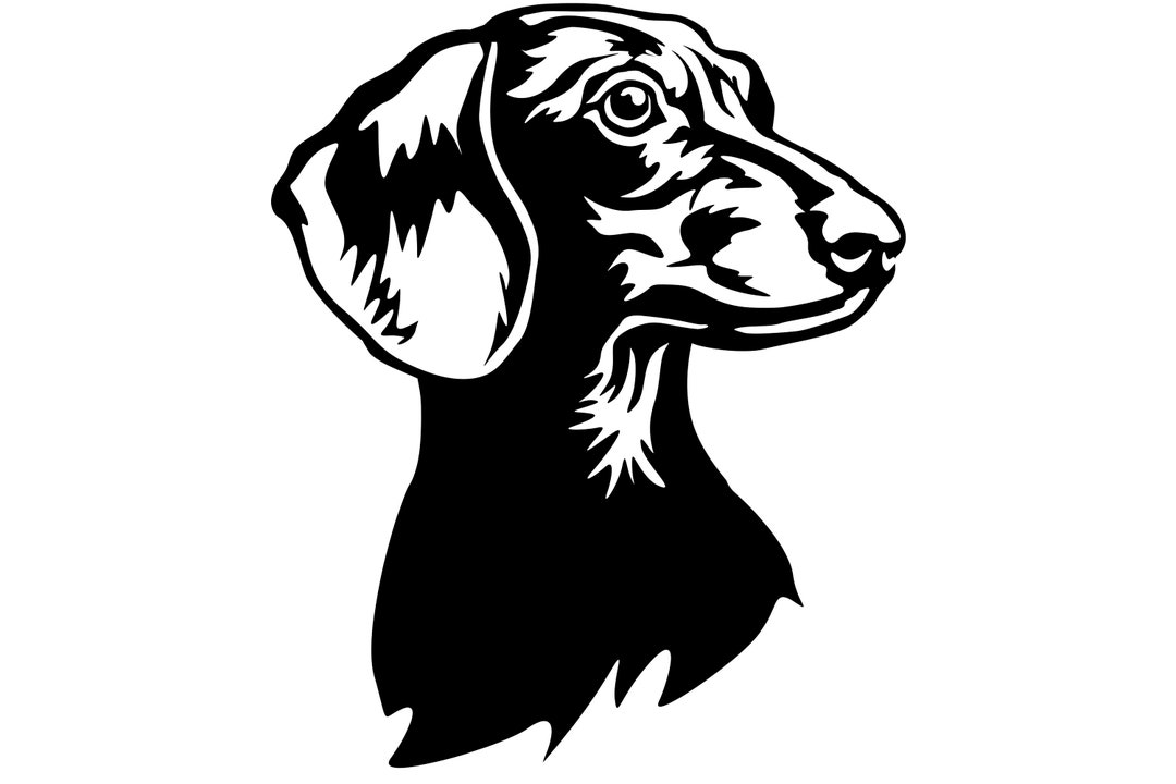 DACKEL Teckel Shorthaired Dachshund - Sticker - Purebred Dog Sticker ...