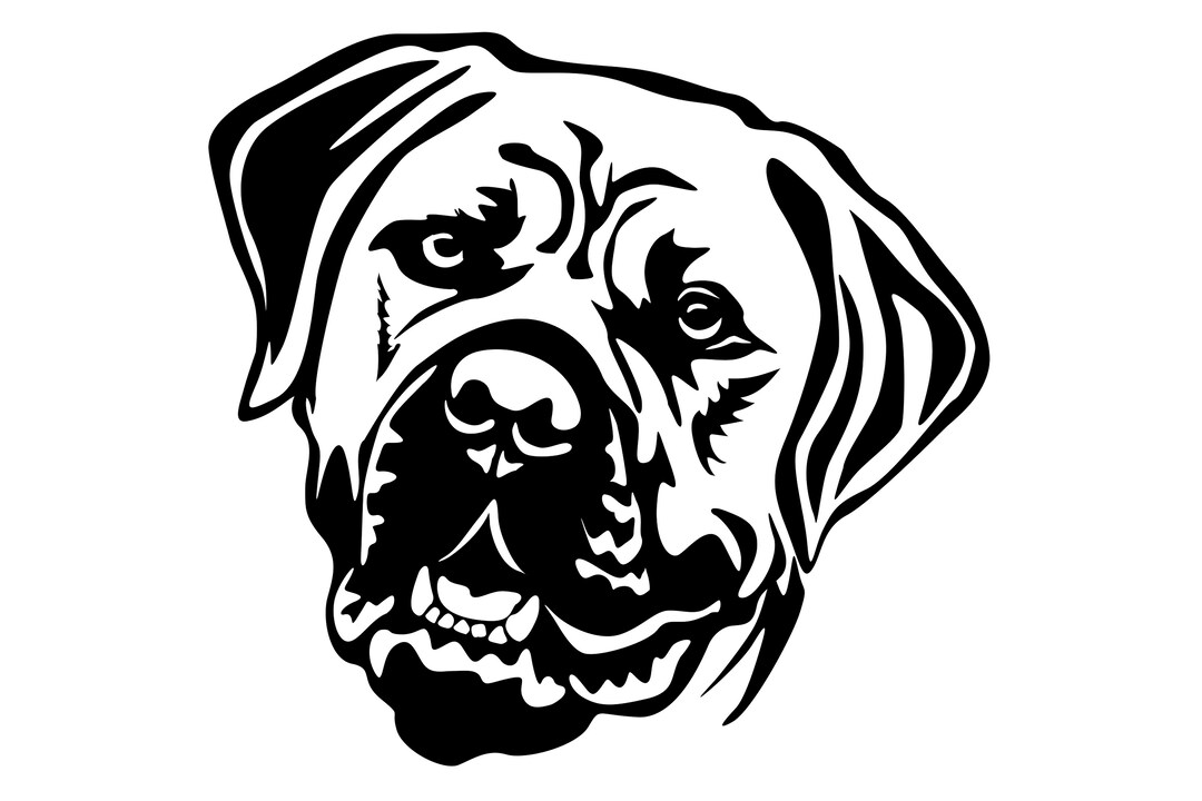 BOERBOEL South African Mastiff Decal Bumper Sticker - Etsy