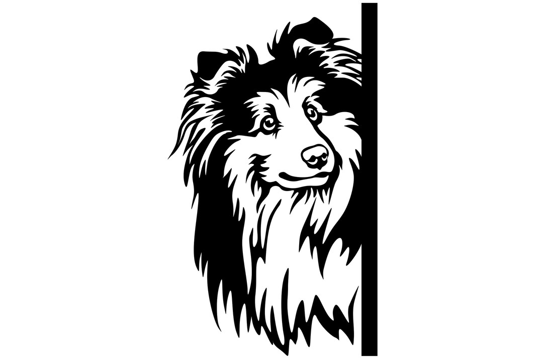 SHELTIE Shetland Sheepdog - Sticker - Purebred Dog Sticker - Rub-on ...