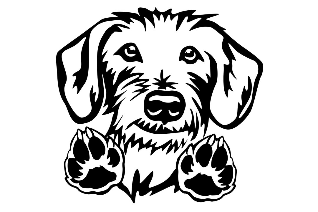 DACKEL Wire-haired Dachshund Sticker Car Sticker Wire-haired Dachshund ...