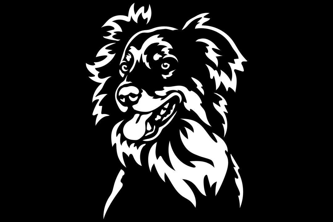 BORDER COLLIE Decal Bumper Sticker Border Collie Head - Etsy