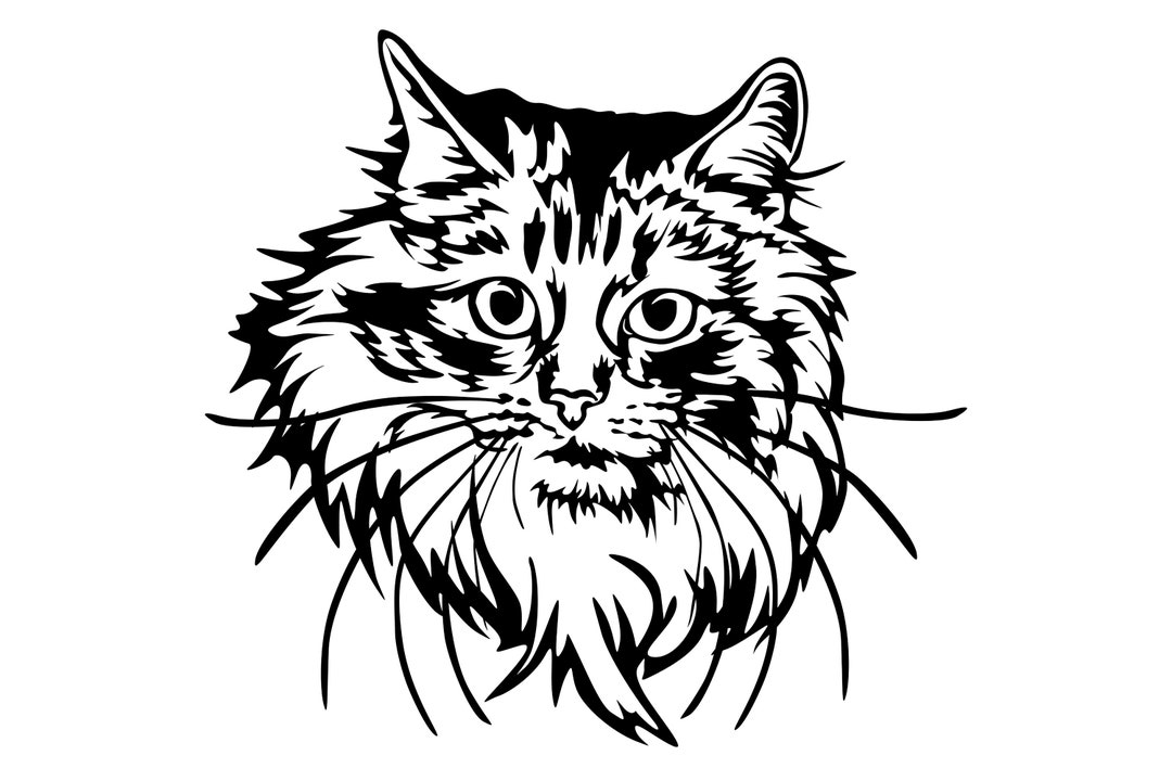 NORWEGIAN FOREST CAT Cat Sticker Car Sticker Cat Sticker Suitable for ...