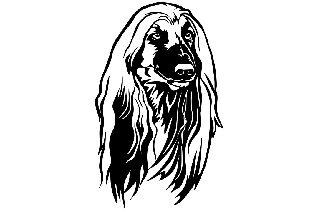 AFGHAN Afghan Hound - Sticker - Purebred Dog Sticker - Car Sticker ...