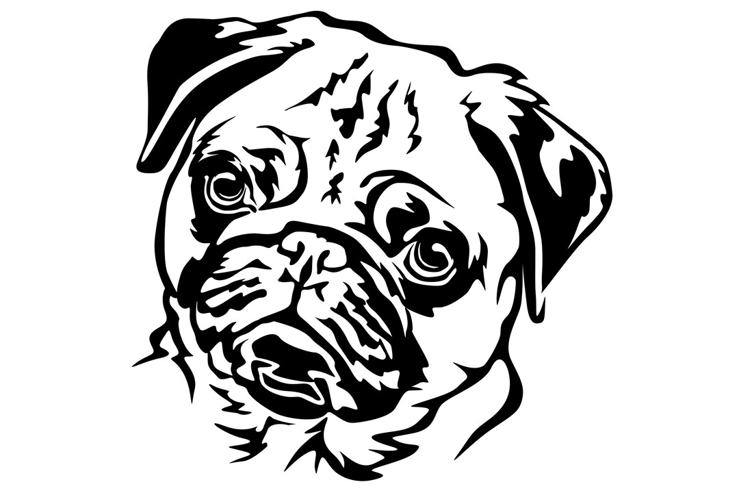 MOPS Pug Sticker Car Sticker Purebred Dog Sticker Rub-on Sticker ...