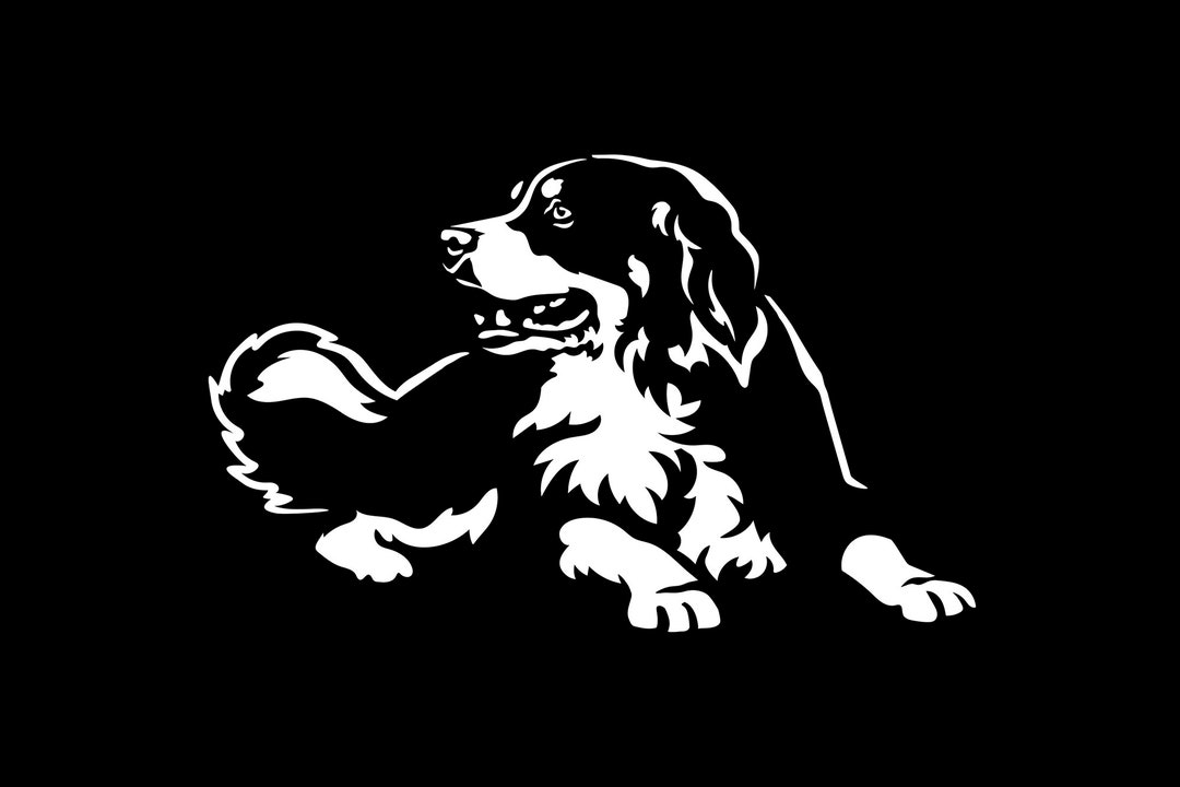 BERNER SENNENDOG Sticker - Purebred Dog Sticker - Car Sticker - Head ...