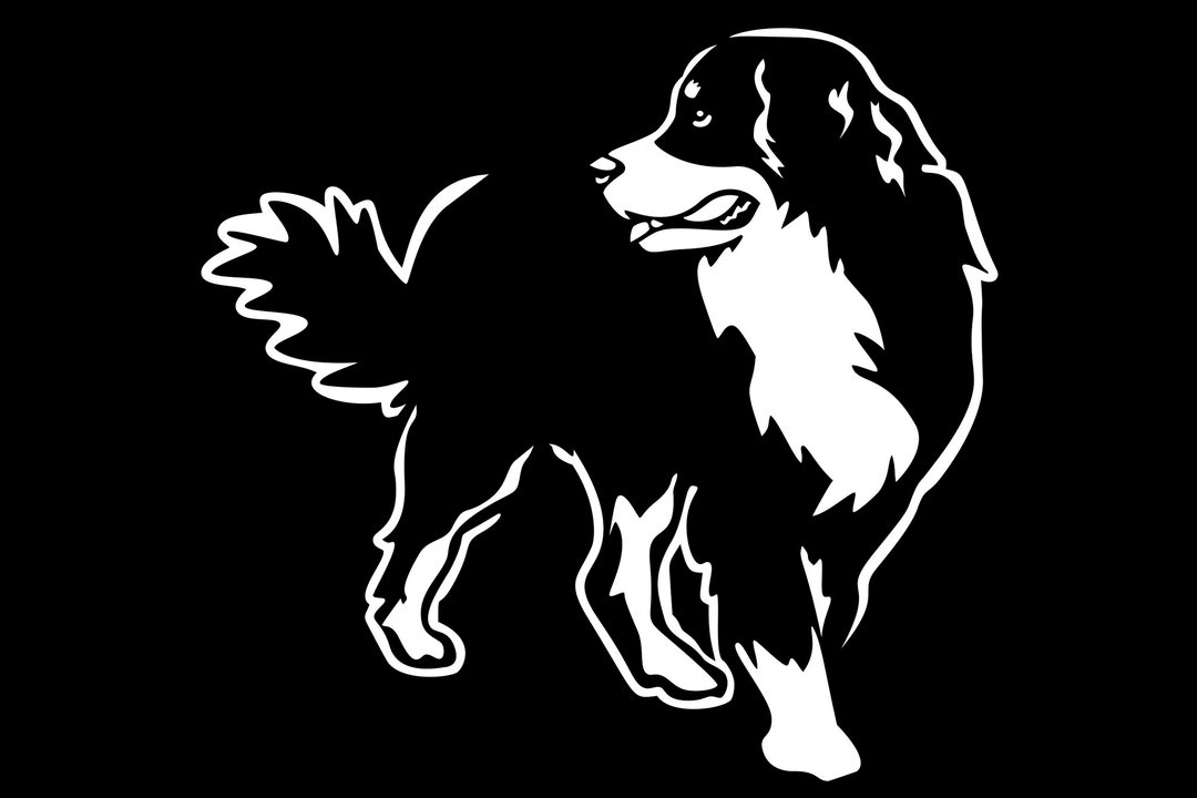 BERNER SENNENDOG Sticker - Purebred Dog Sticker - Car Sticker - Sticker ...