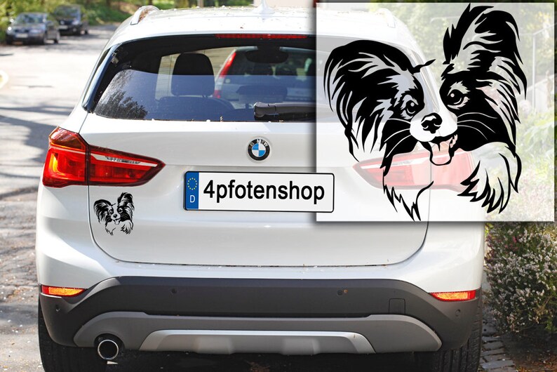 PAPILLON - Sticker - Purebred Dog Sticker - Car Sticker - Papillon Head ...