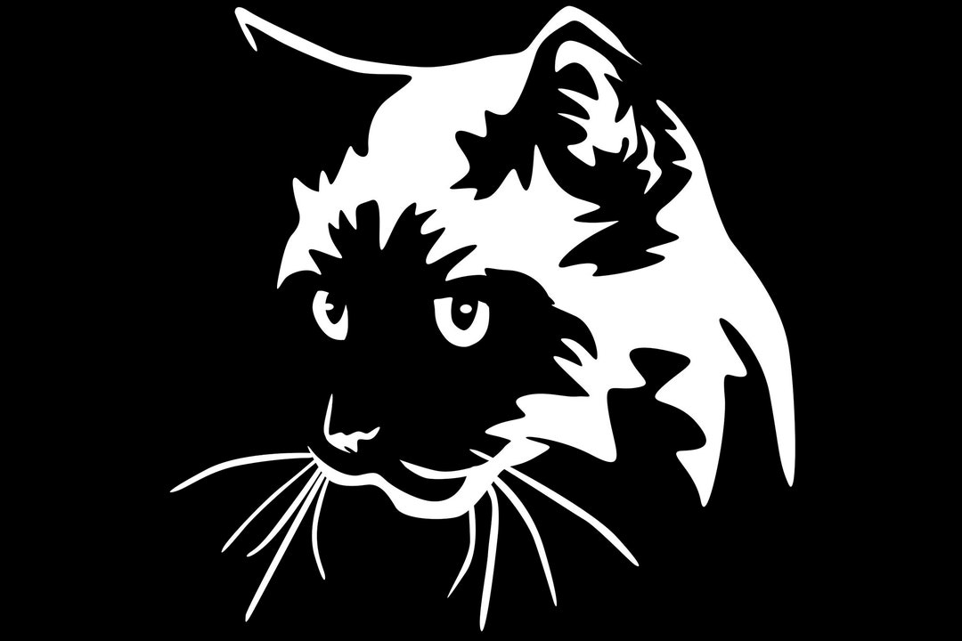 SIAMESE CAT SIAMESE Cat Sticker - Sticker - Car Sticker - Cat Sticker ...