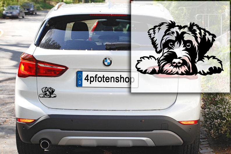 MINIATURE SCHNAUZER Schnauzer - Sticker - Purebred Dog Sticker - Car ...